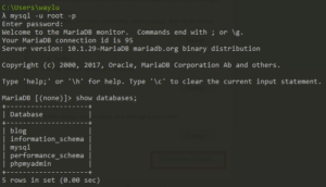 Setting Laravel with Xampp environment (Windows) | Smart Lun